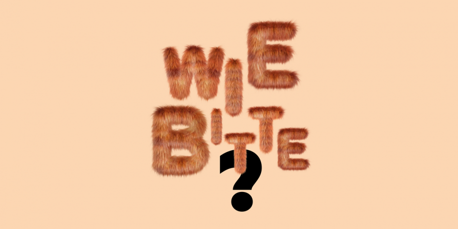 Auf Deutsch bitten, danken und sich entschuldigen | Deutsch perfekt