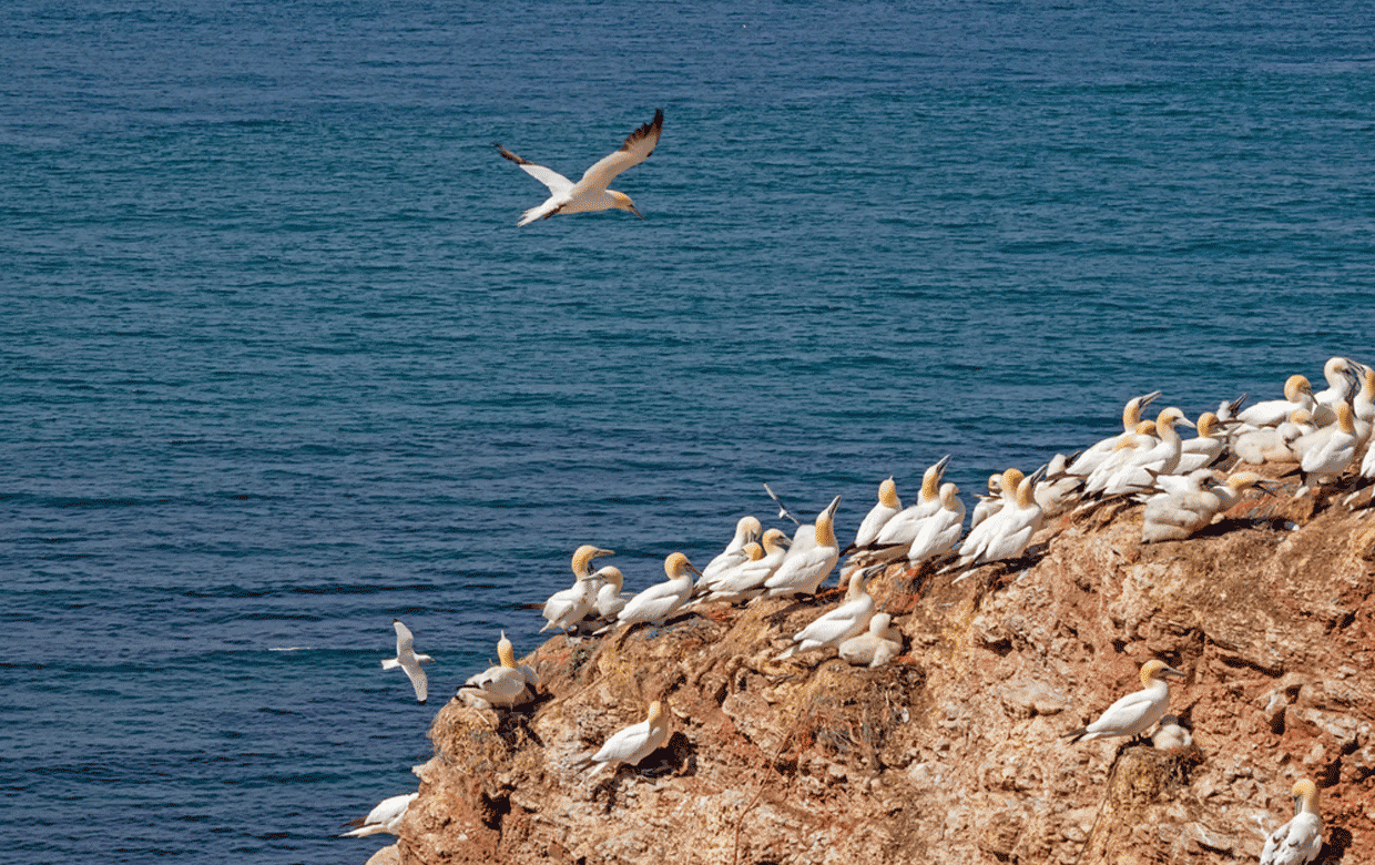 Schwerer Weg ins Meer | Deutsch perfekt